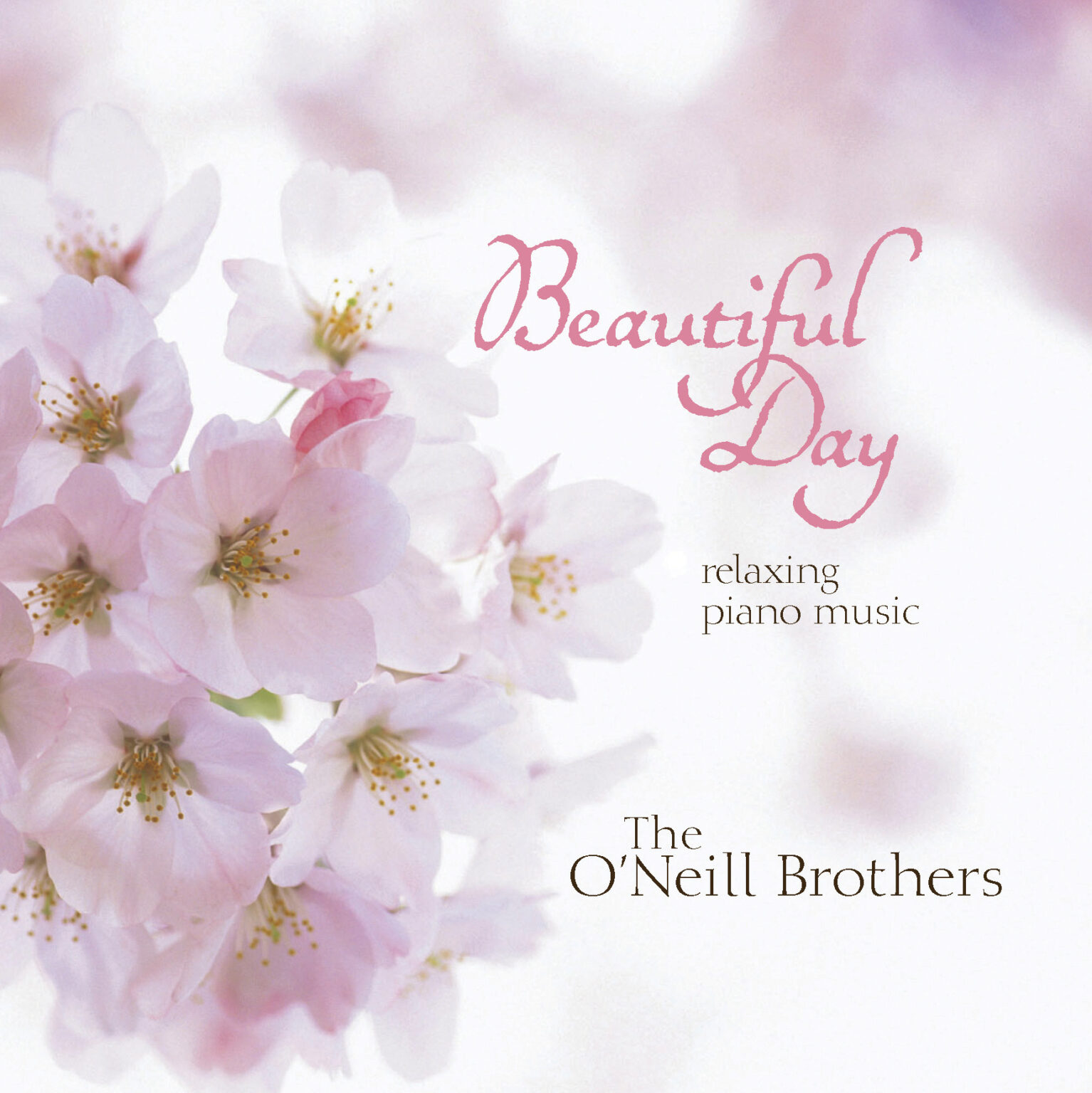 'Beautiful Day' - Album Sheet Music - Sheet Music PDF Download